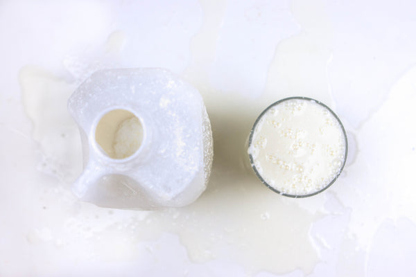 Raw Non-Pasteurized Dairy – Tagged "raw dairy" – Raw Feeding Miami