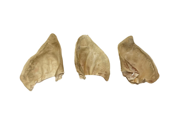 Freeze Dried Pig Ears – Raw Feeding Miami