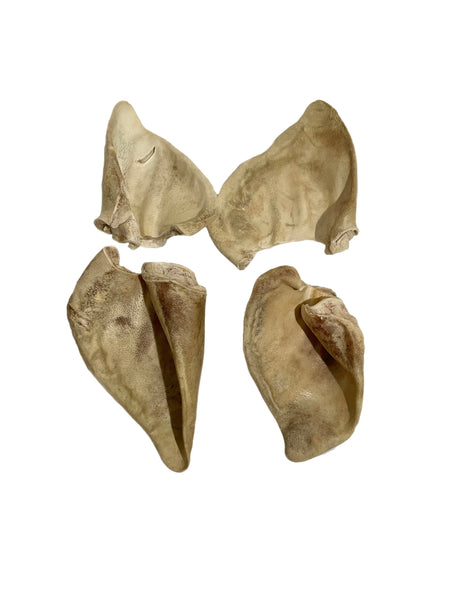Freeze Dried Pig Ears – Raw Feeding Miami