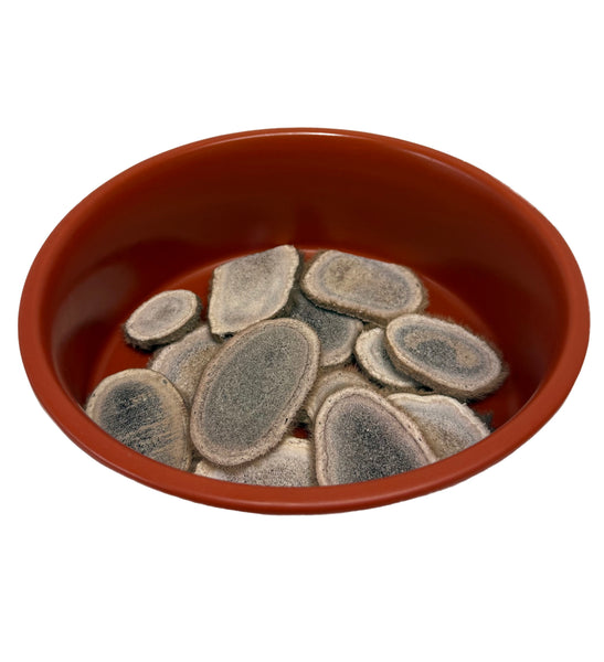 Freeze Dried Elk Velvet Antler Chips – Raw Feeding Miami