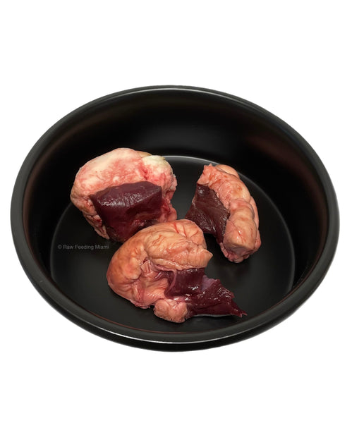 Beef Suet – Raw Feeding Miami