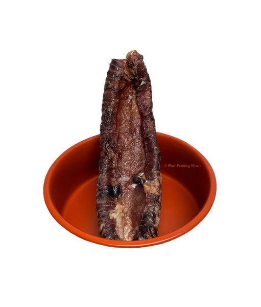 Dehydrated Bison Trachea – Raw Feeding Miami