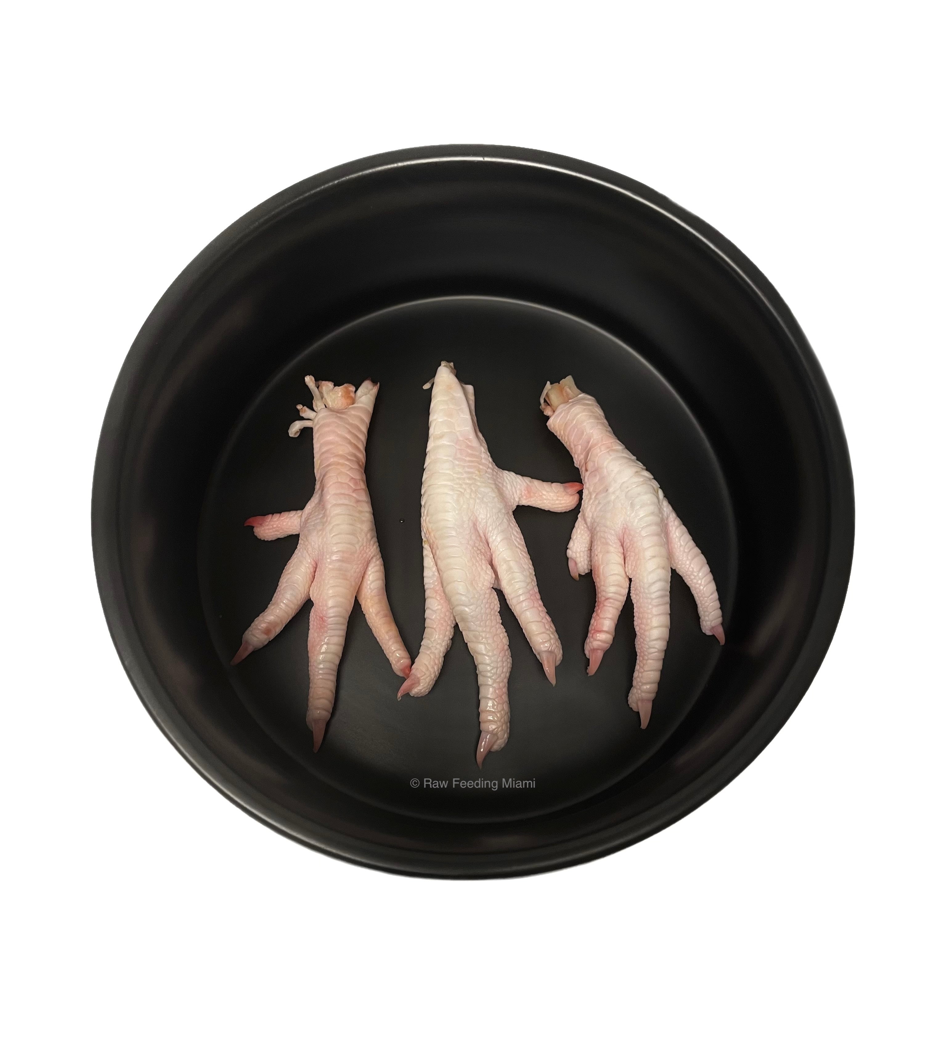 Chicken Feet – Raw Feeding Miami