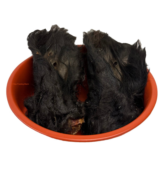 Dehydrated Beef Ears – Raw Feeding Miami