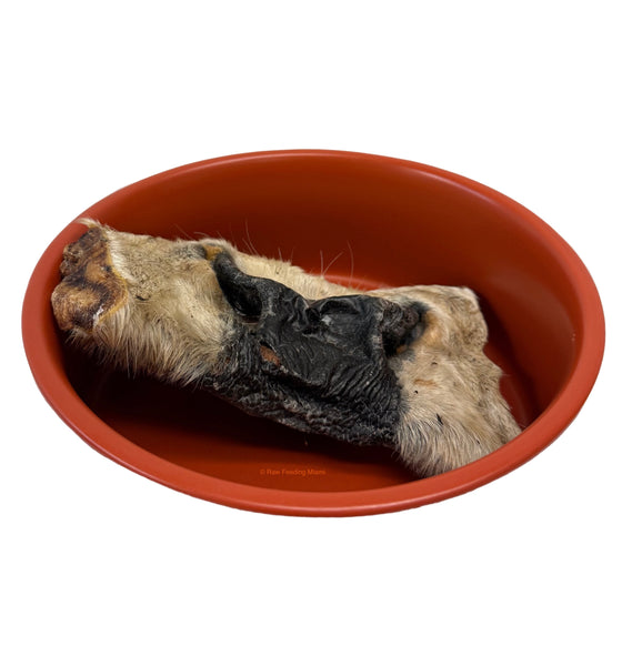 Dehydrated Beef Snouts – Raw Feeding Miami