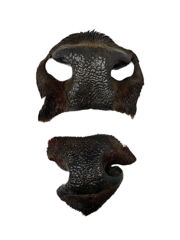 The #1 Raw Pet Food Supplier – Raw Feeding Miami