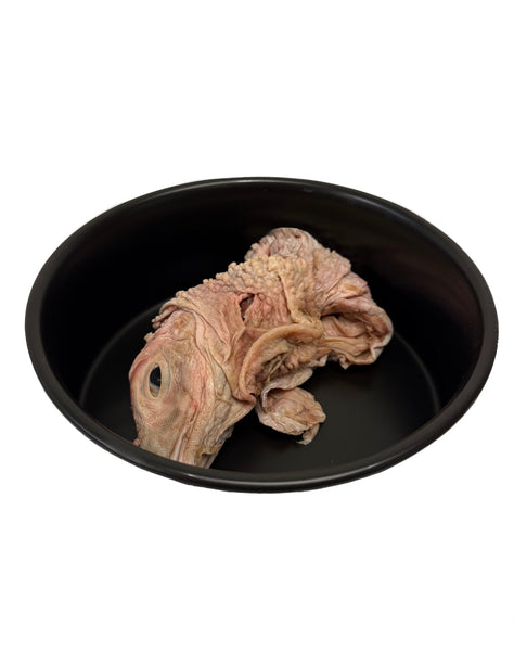Turkey Heads – Raw Feeding Miami