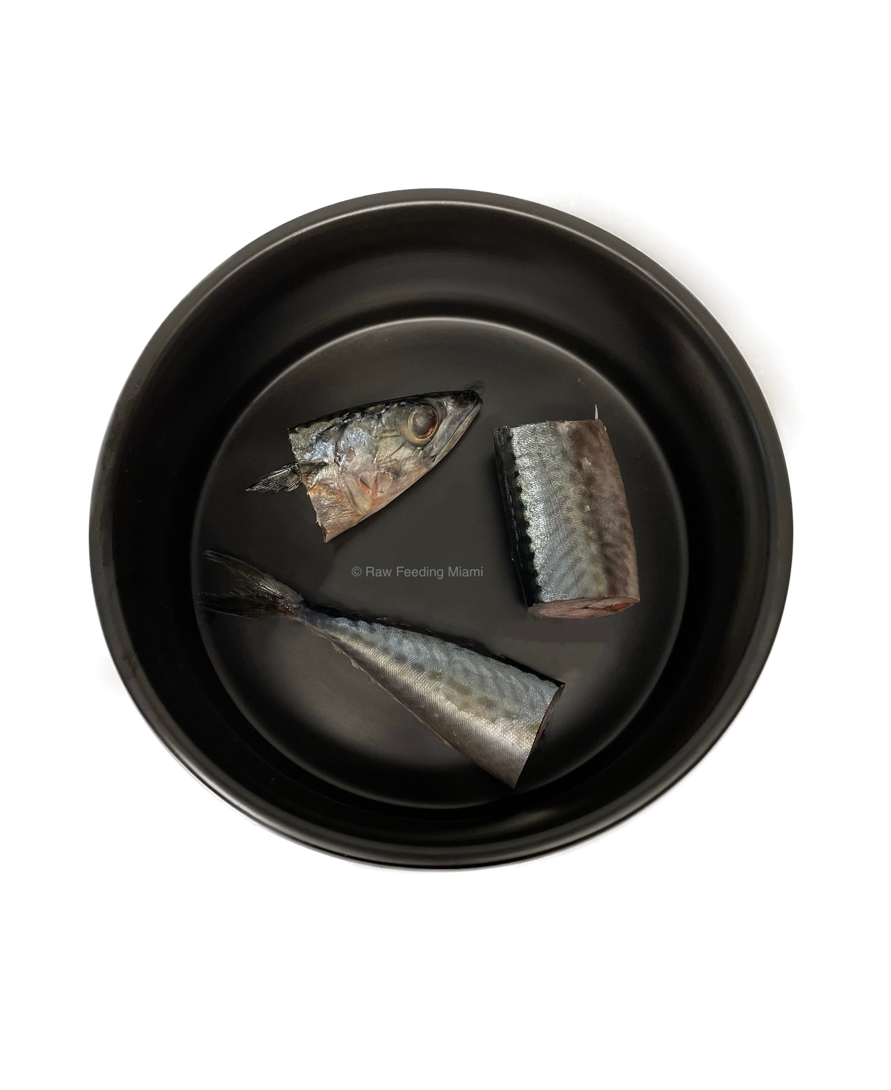 Mackerel – Raw Feeding Miami
