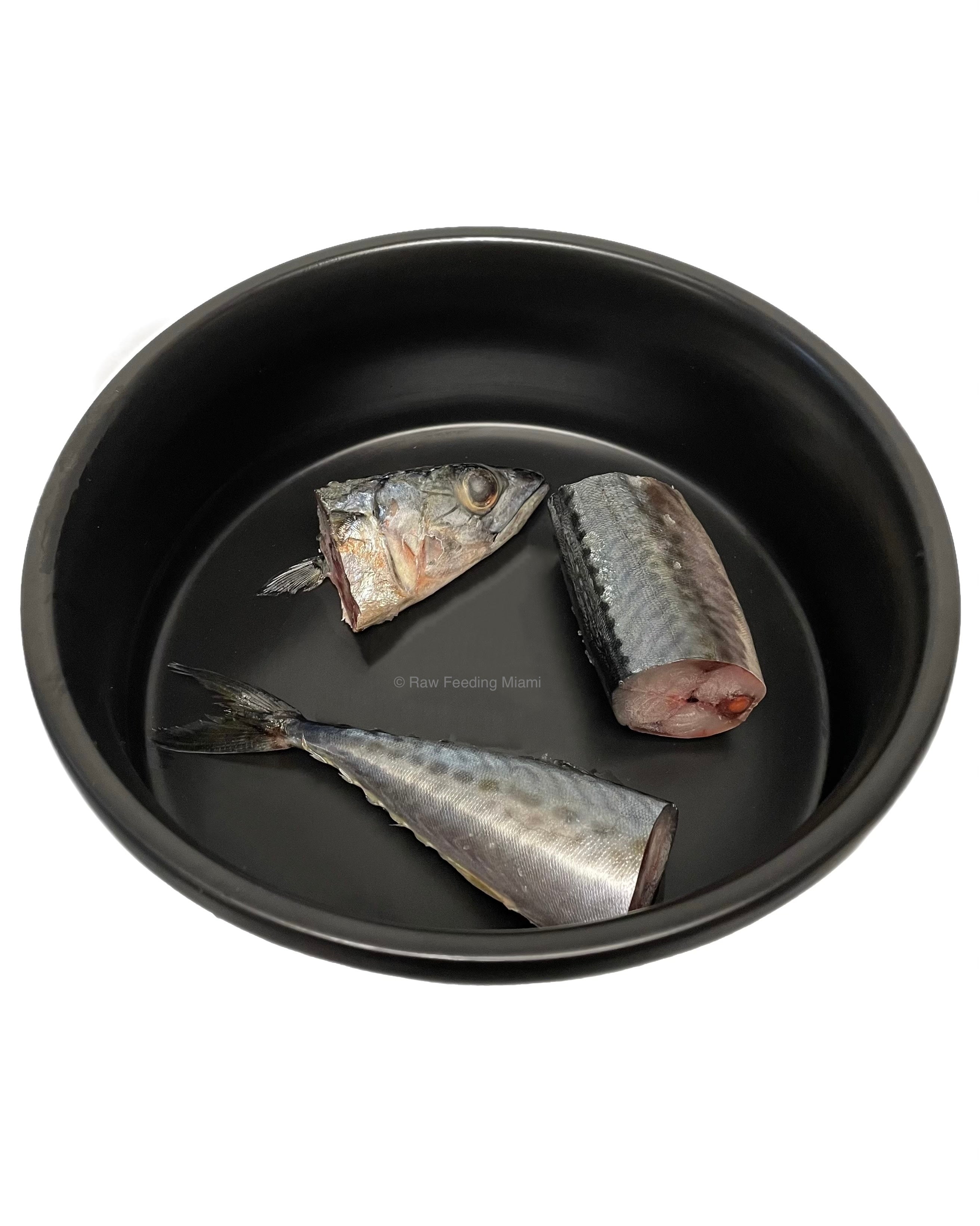 Mackerel – Raw Feeding Miami