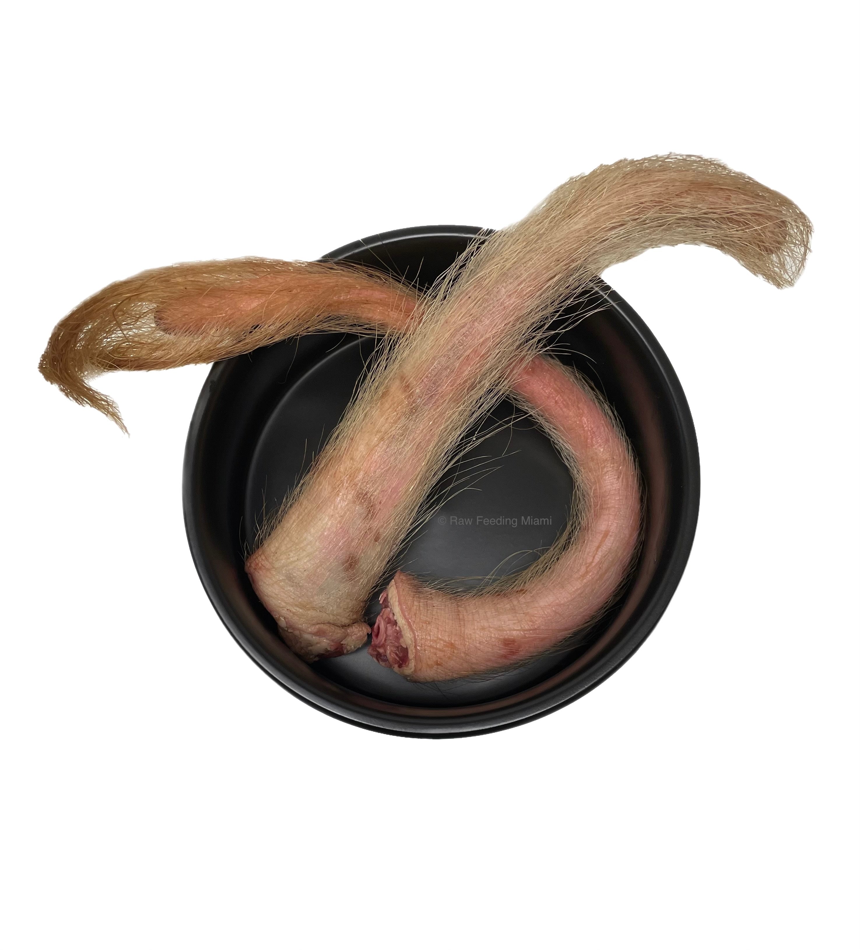 Pig Tails – Raw Feeding Miami