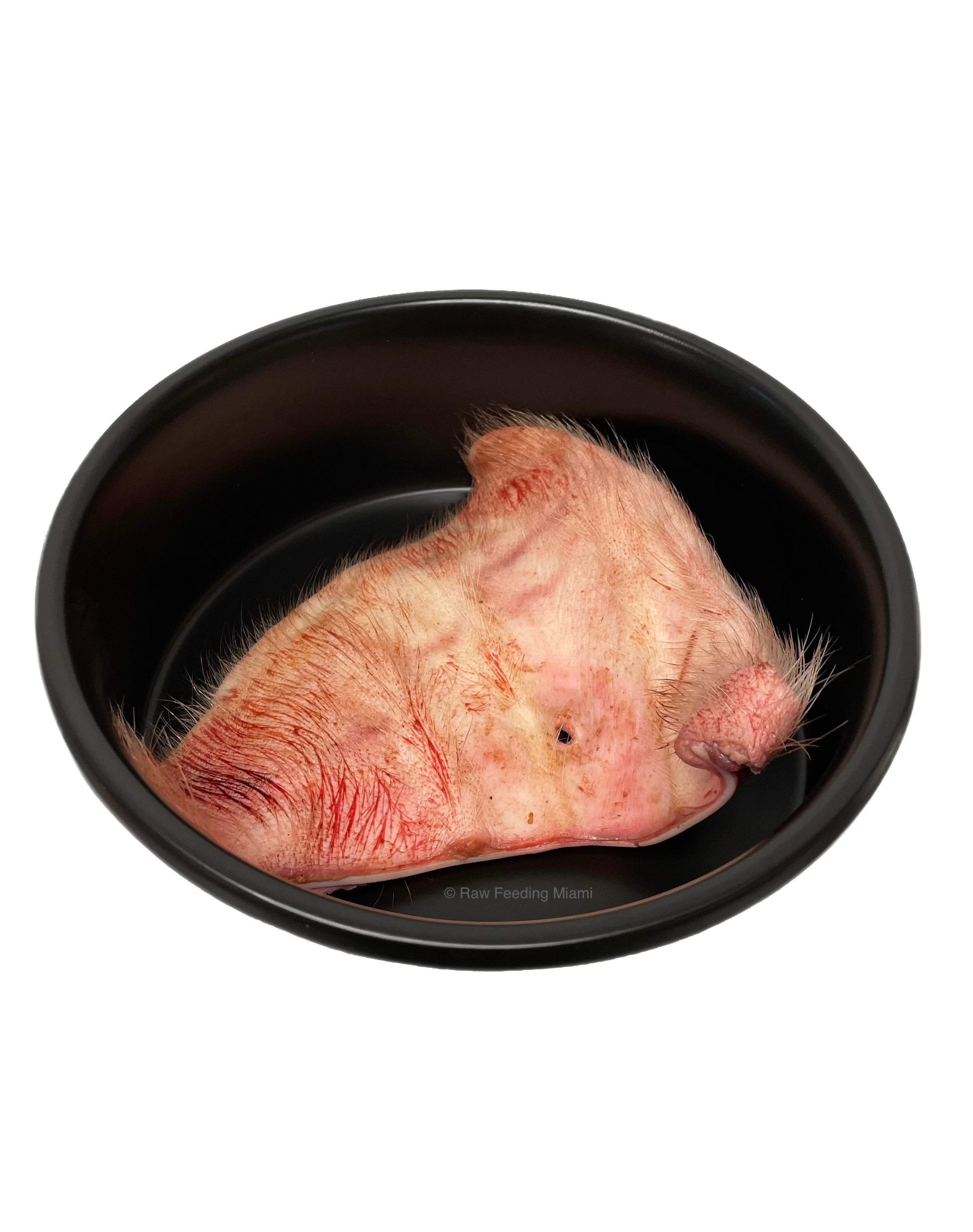 Raw Pig Ears – Raw Feeding Miami