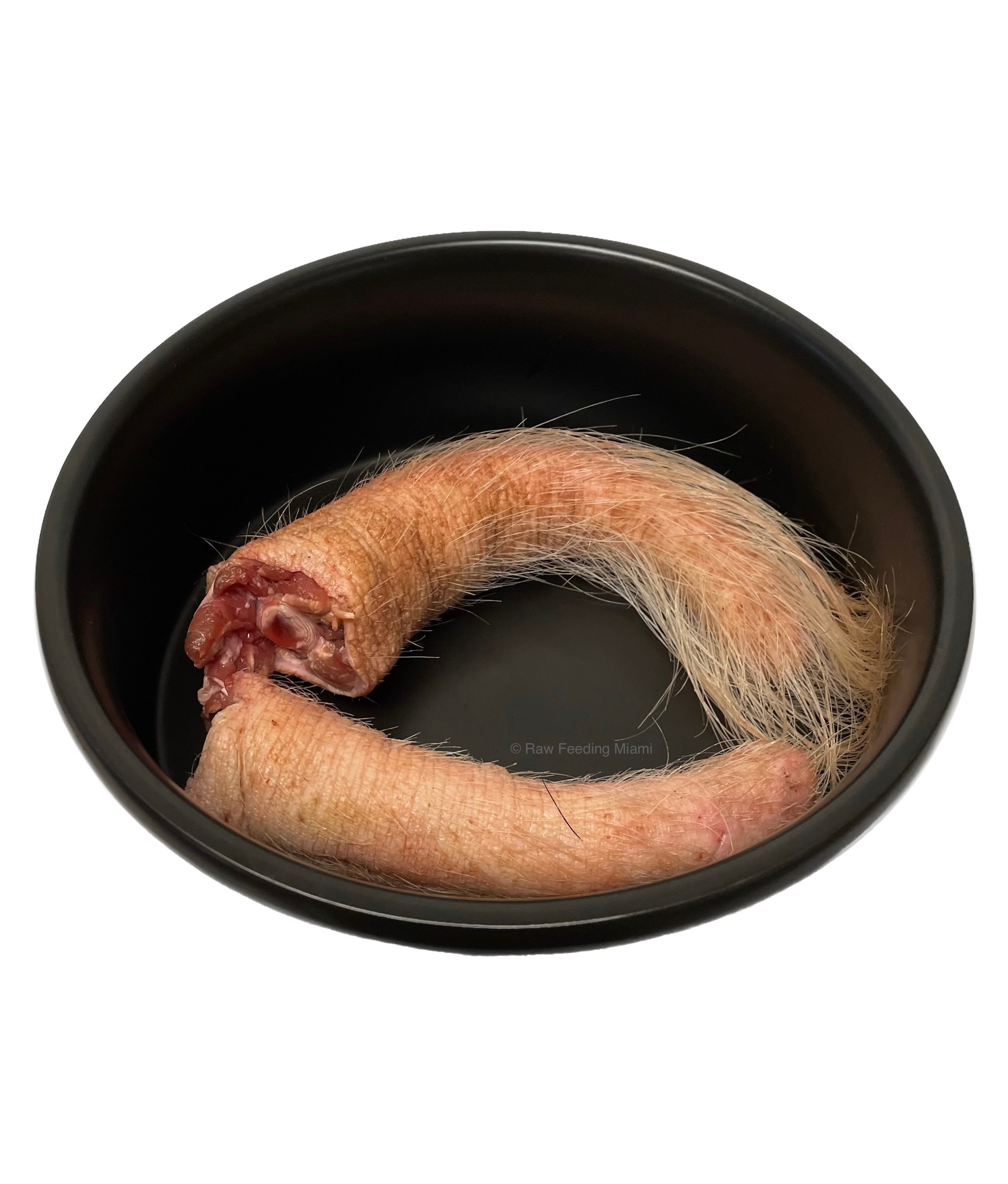 Pig Tails – Raw Feeding Miami