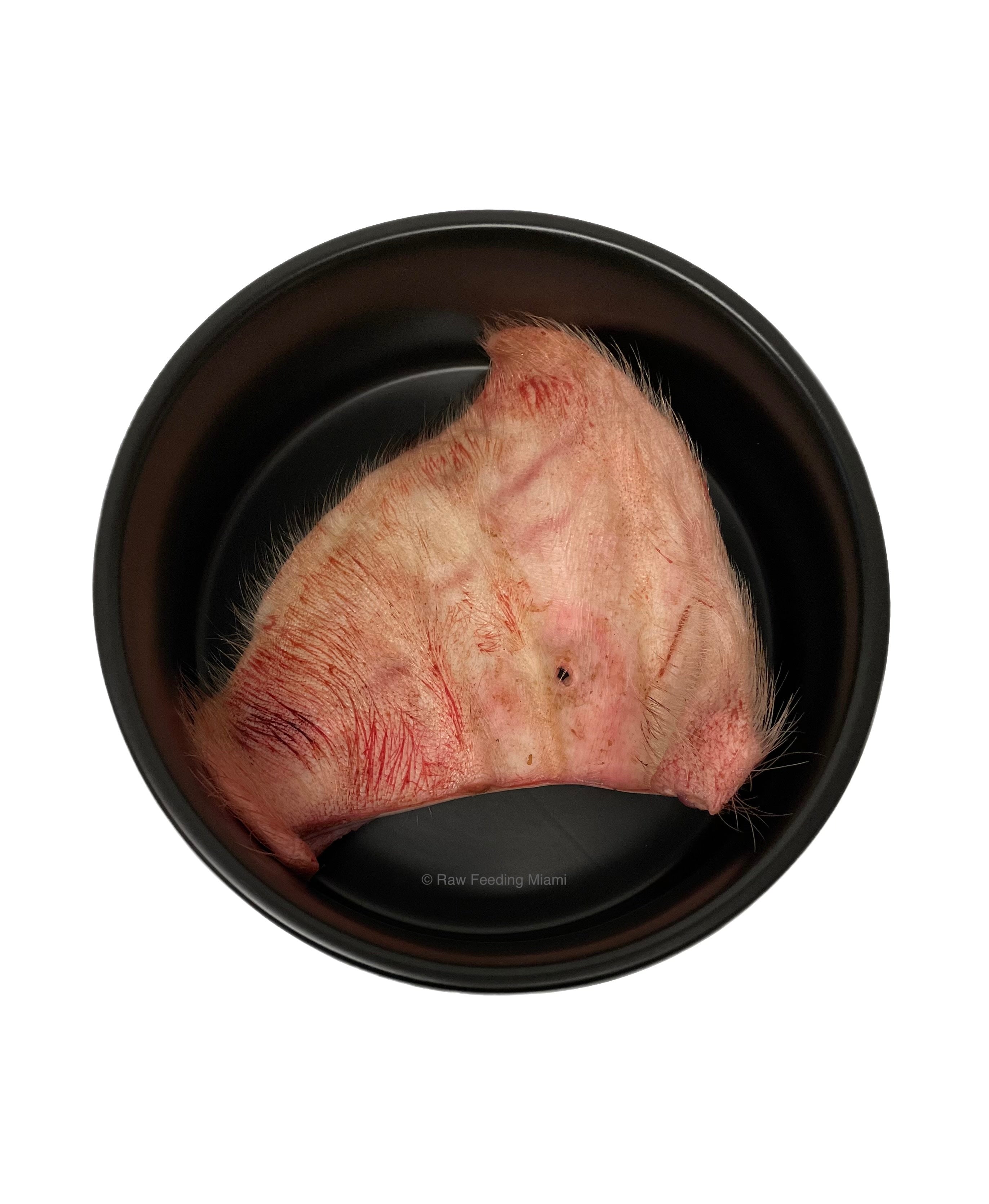 Raw Pig Ears – Raw Feeding Miami