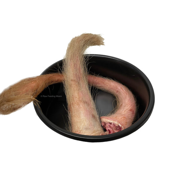 Pig Tails – Raw Feeding Miami