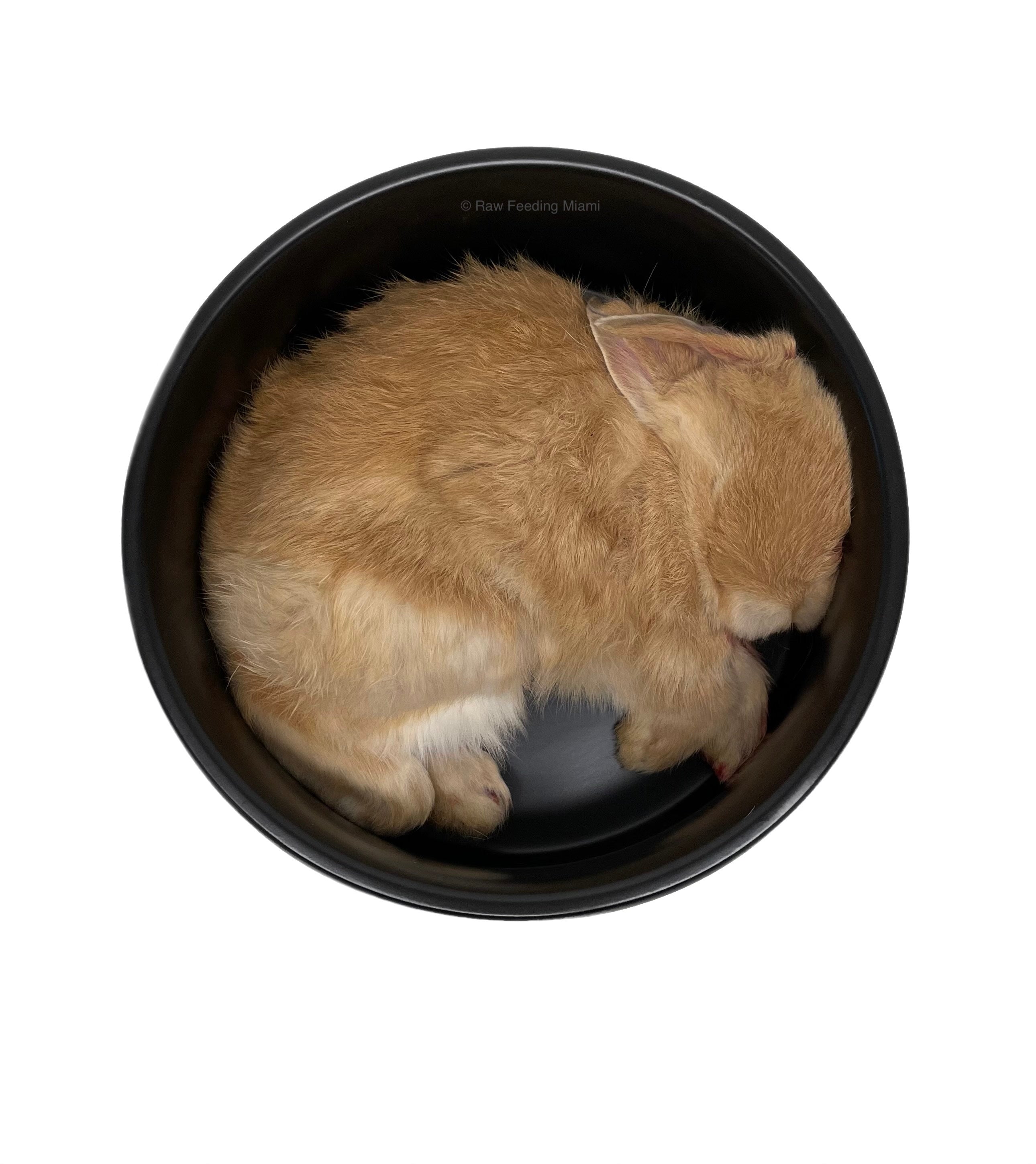 Whole Prey Rabbit – Raw Feeding Miami