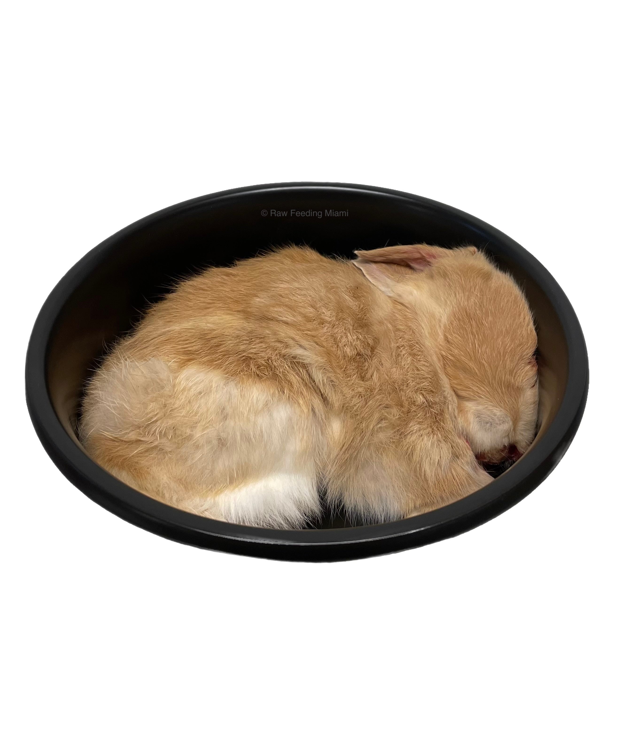 Whole Prey Rabbit – Raw Feeding Miami