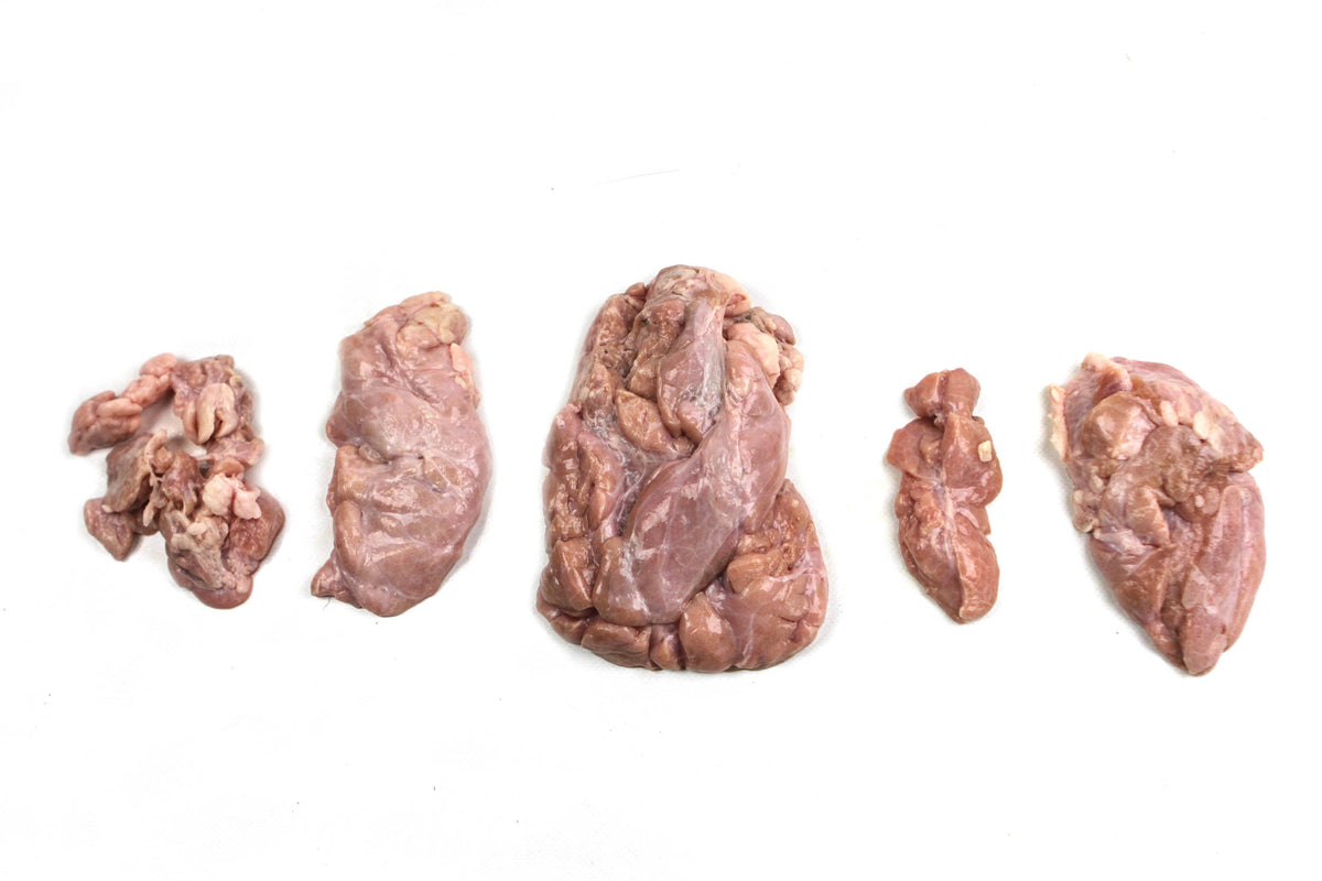 Beef Sweetbreads – Raw Feeding Miami