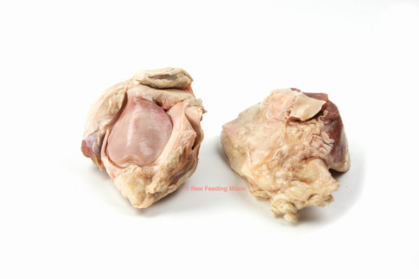 Raw Beef Patella Bones – Raw Feeding Miami