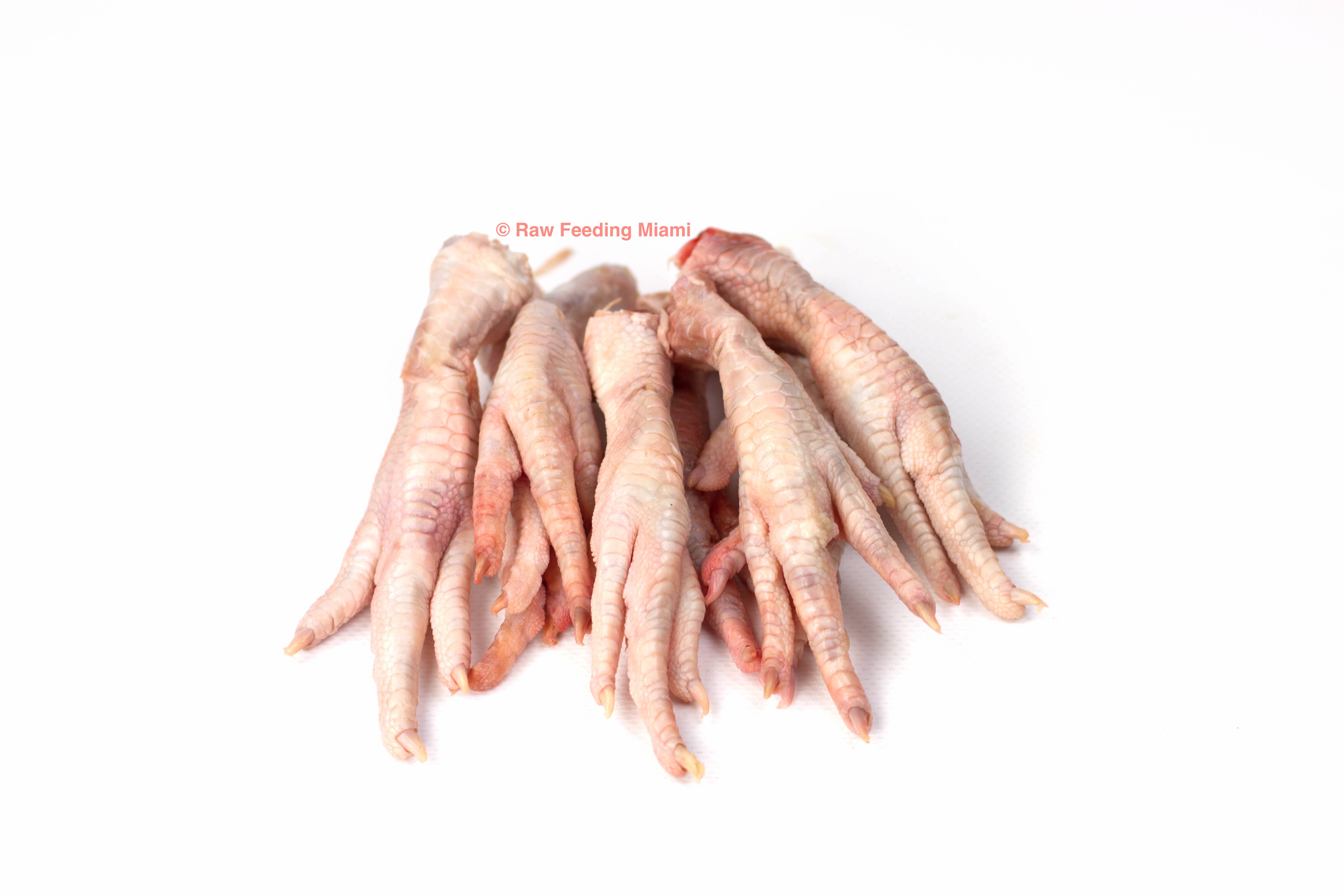 Chicken Feet – Raw Feeding Miami