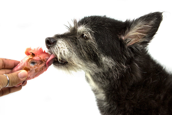 Chicken Heads – Raw Feeding Miami