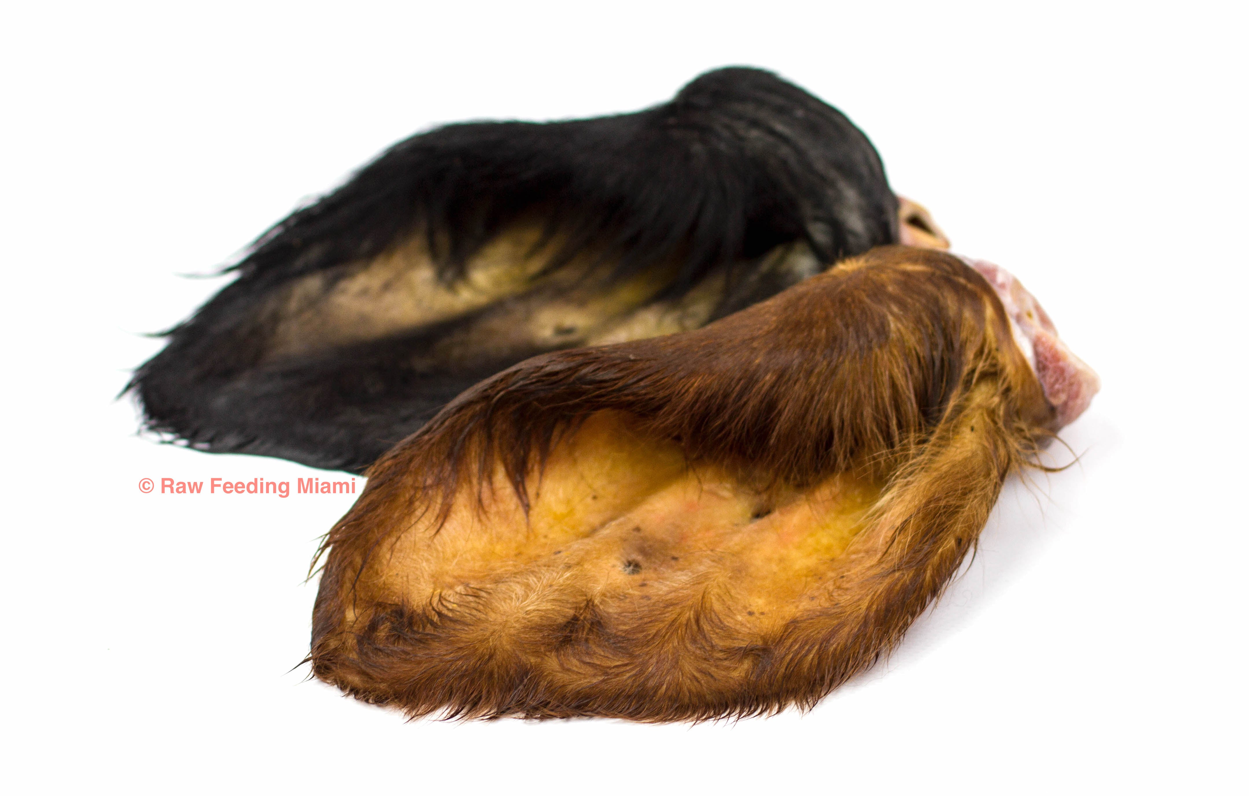 Raw Beef Ear – Raw Feeding Miami