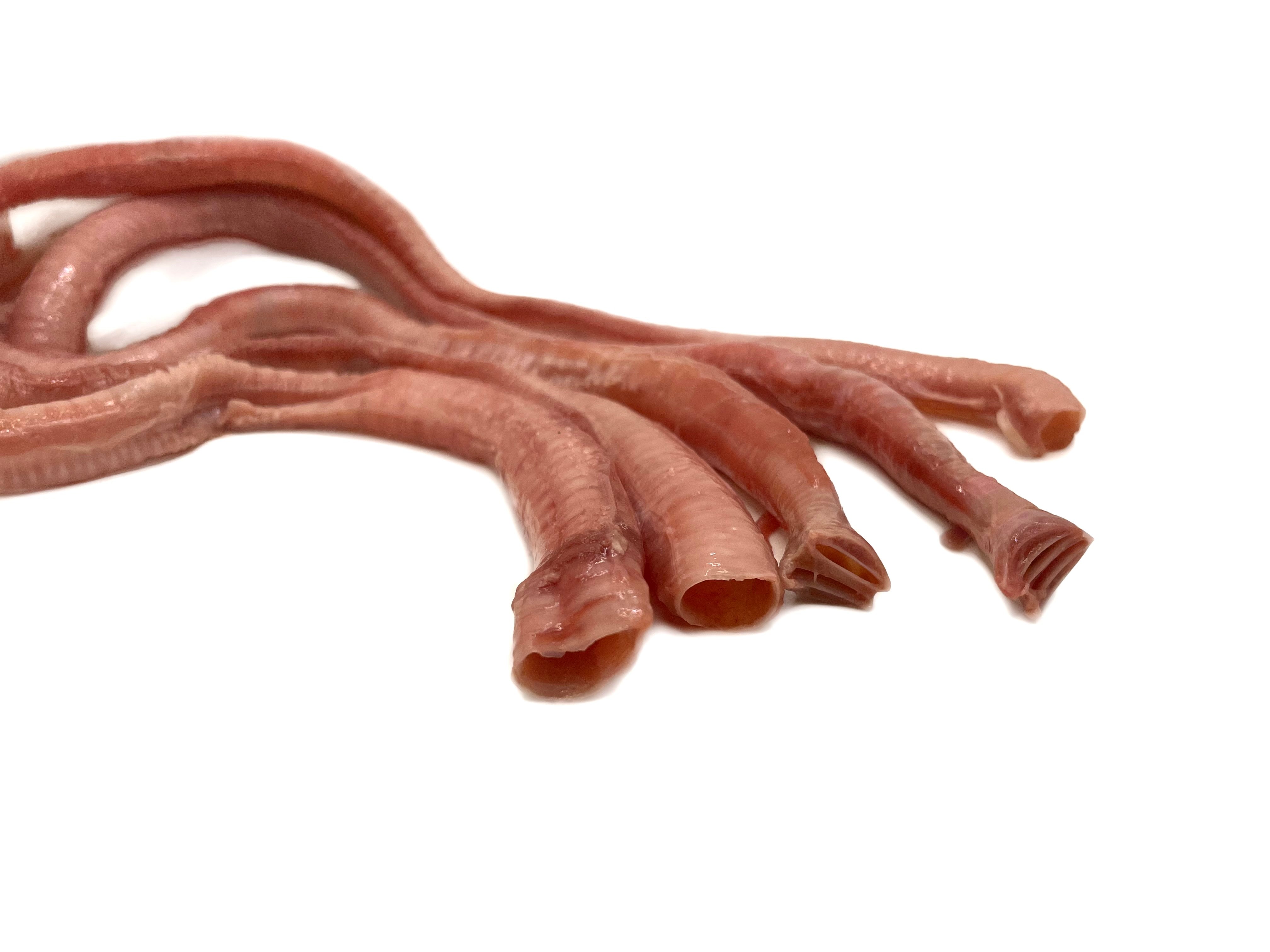 Goose Trachea – Raw Feeding Miami