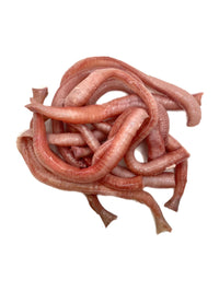 Goose Trachea – Raw Feeding Miami