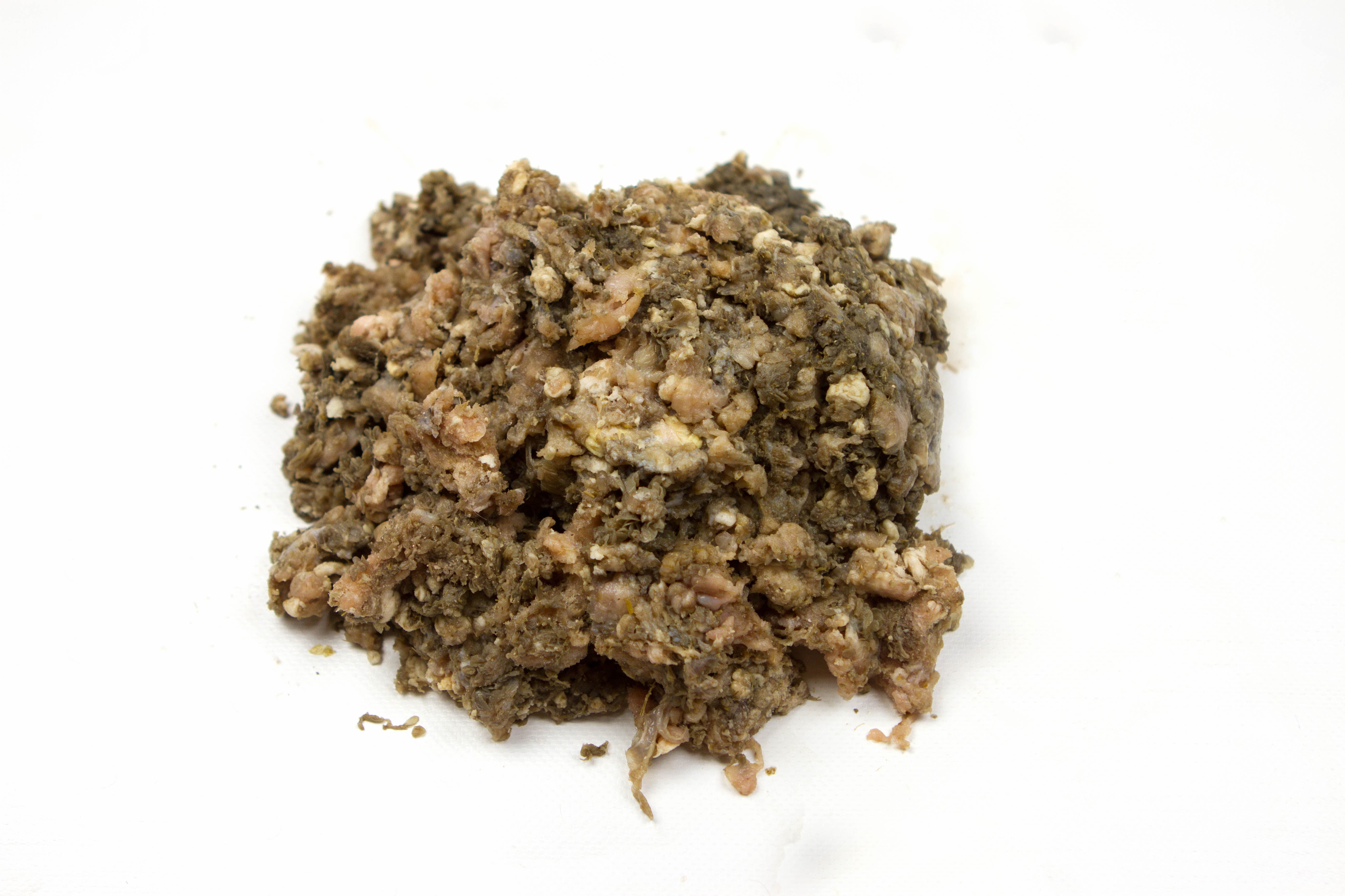 Raw Pasture Raised Green Tripe – Raw Feeding Miami