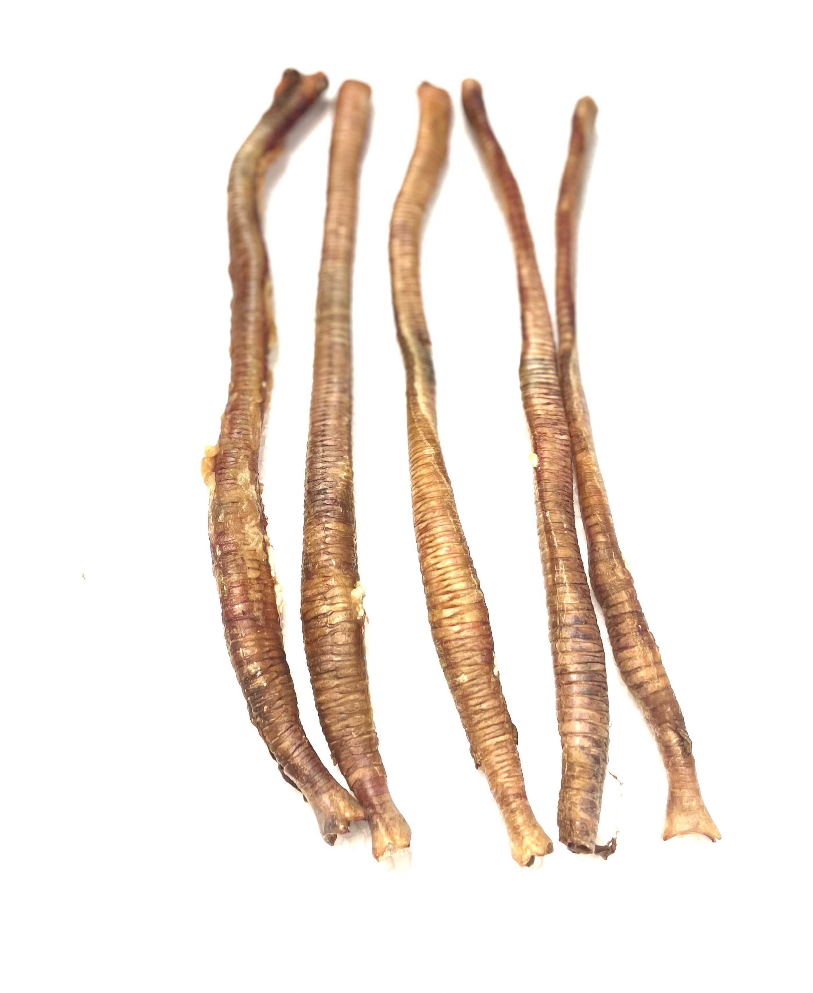 Dehydrated Goose Trachea – Raw Feeding Miami