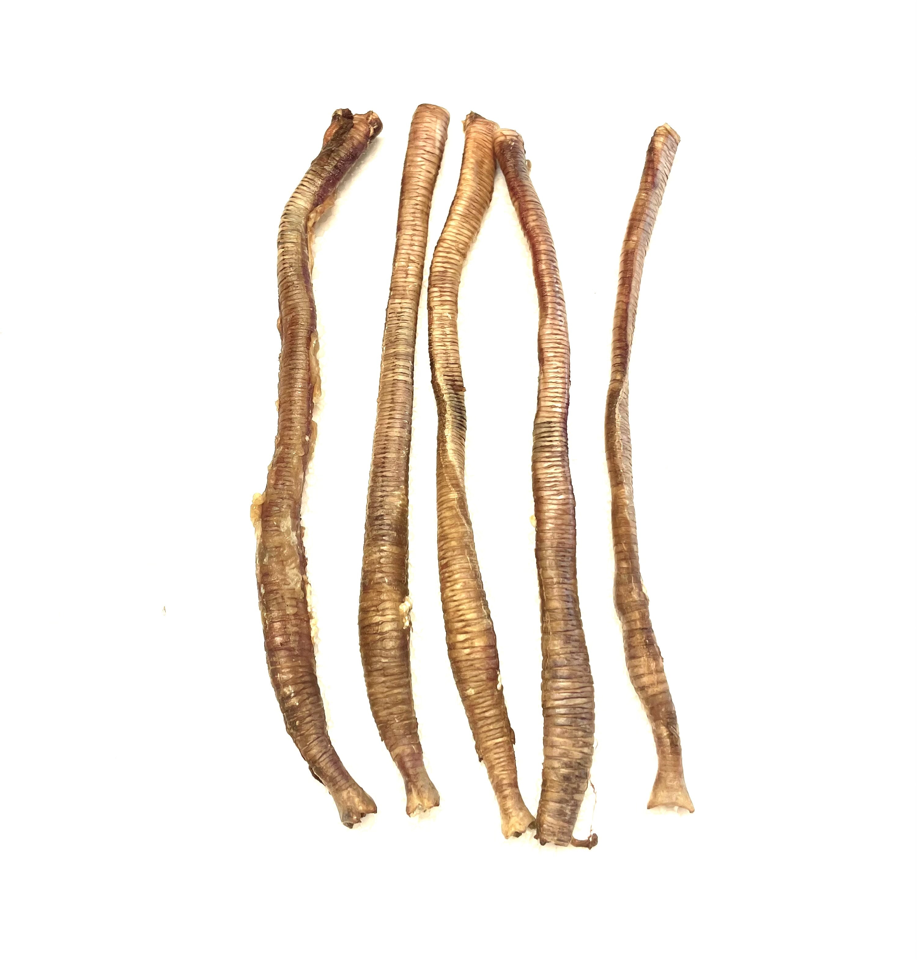 Dehydrated Goose Trachea – Raw Feeding Miami