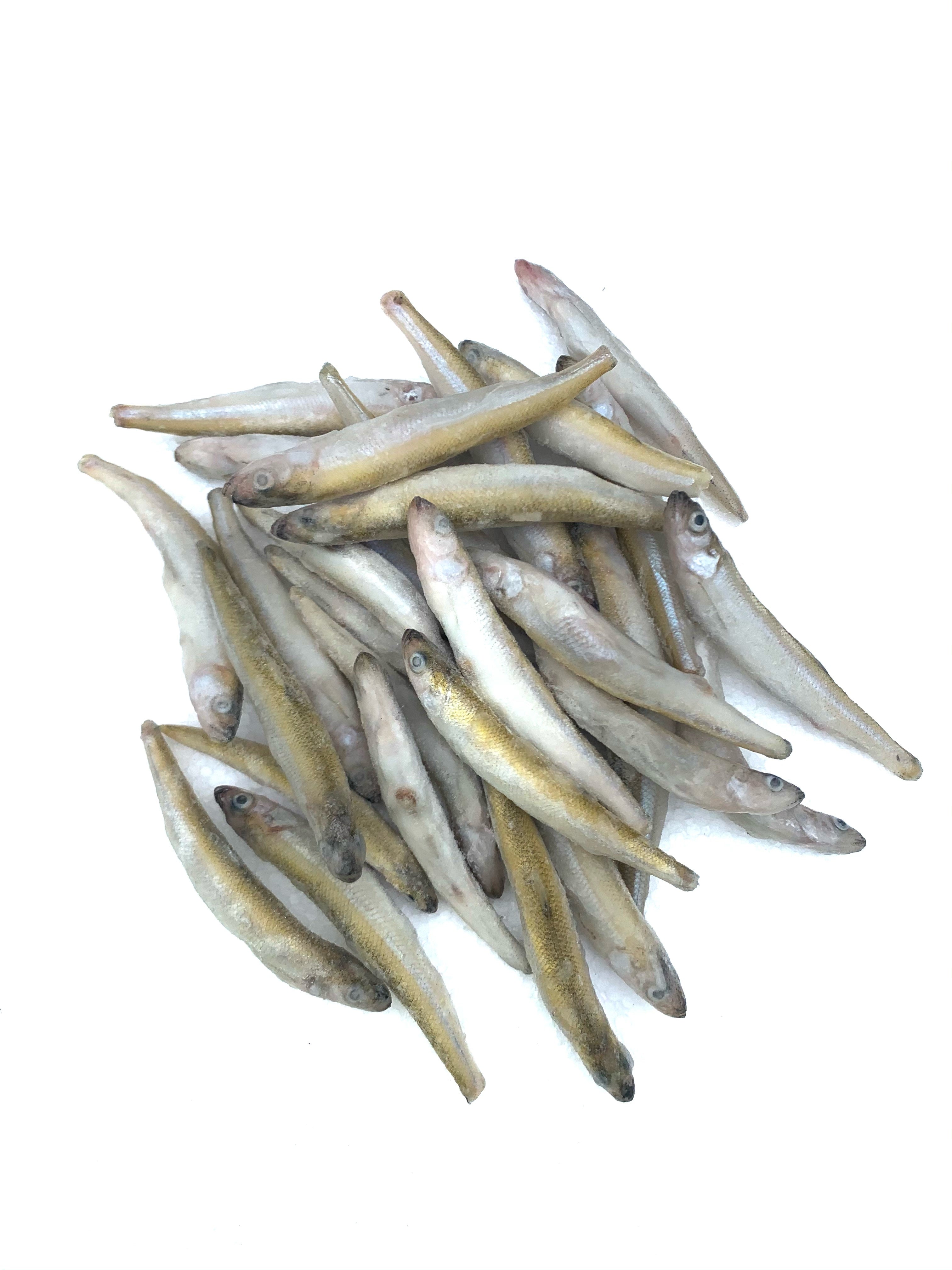 Smelts – Raw Feeding Miami