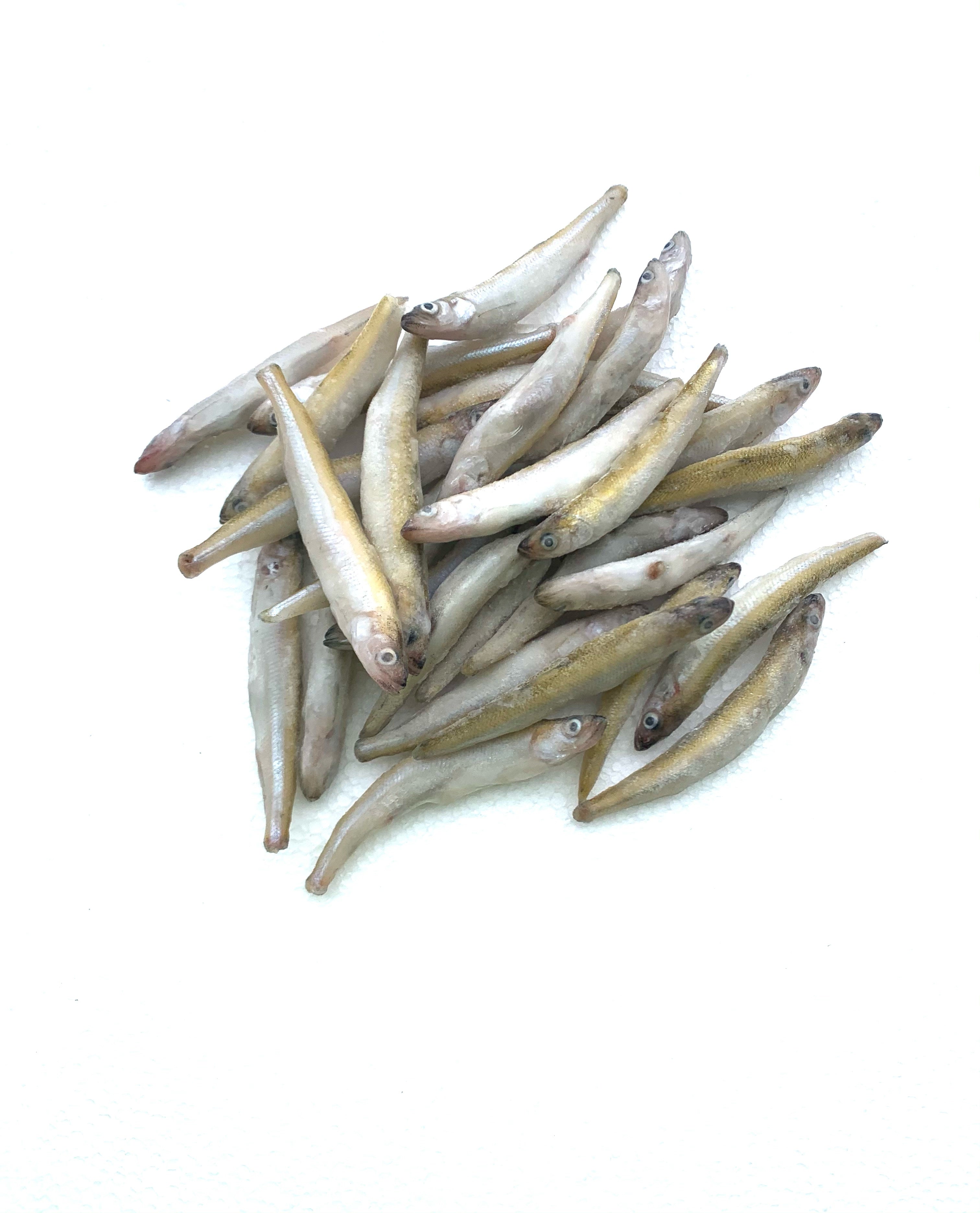 Smelts – Raw Feeding Miami