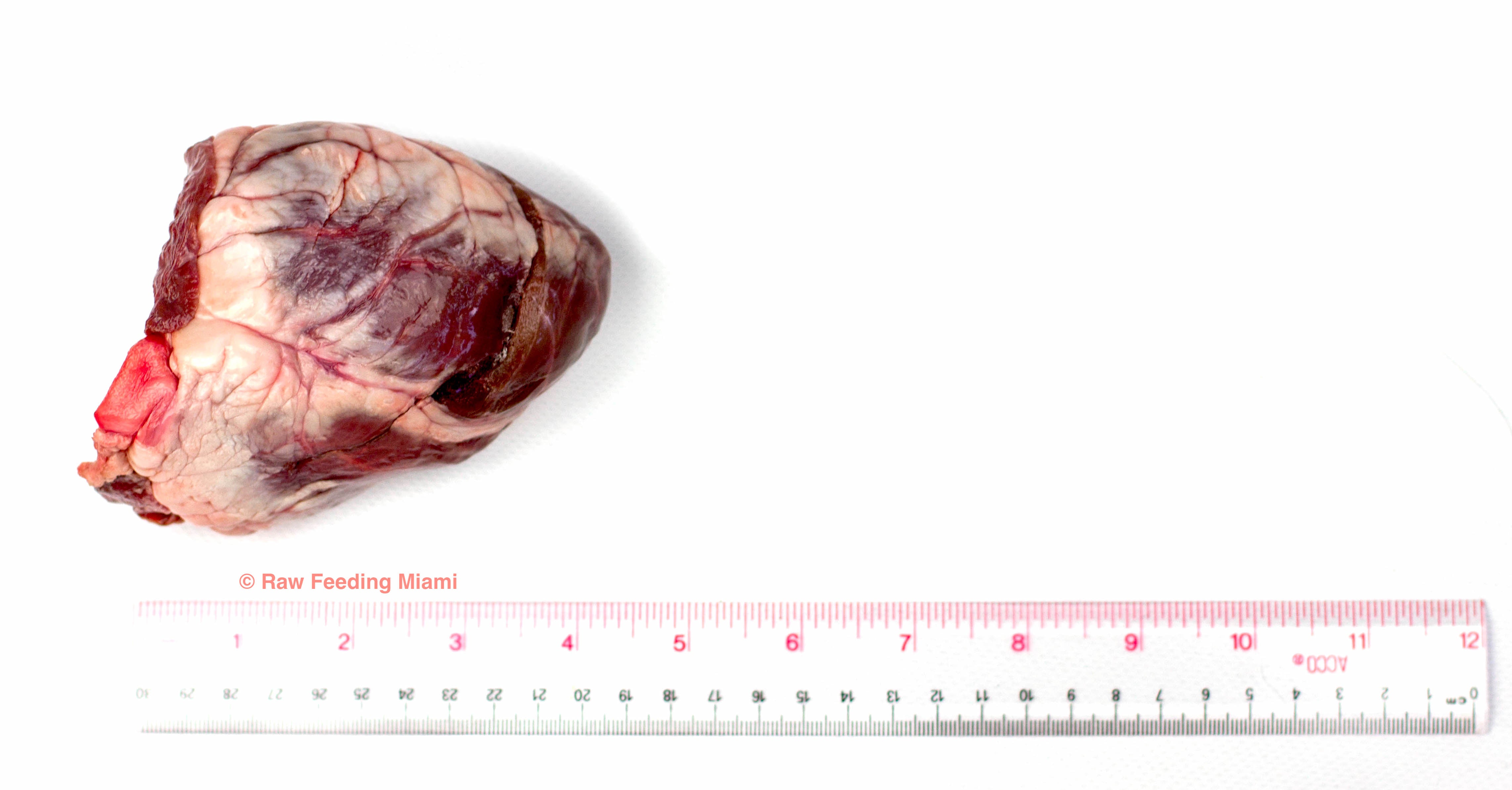 Lamb Heart – Raw Feeding Miami