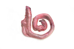 Beef Pizzles – Raw Feeding Miami