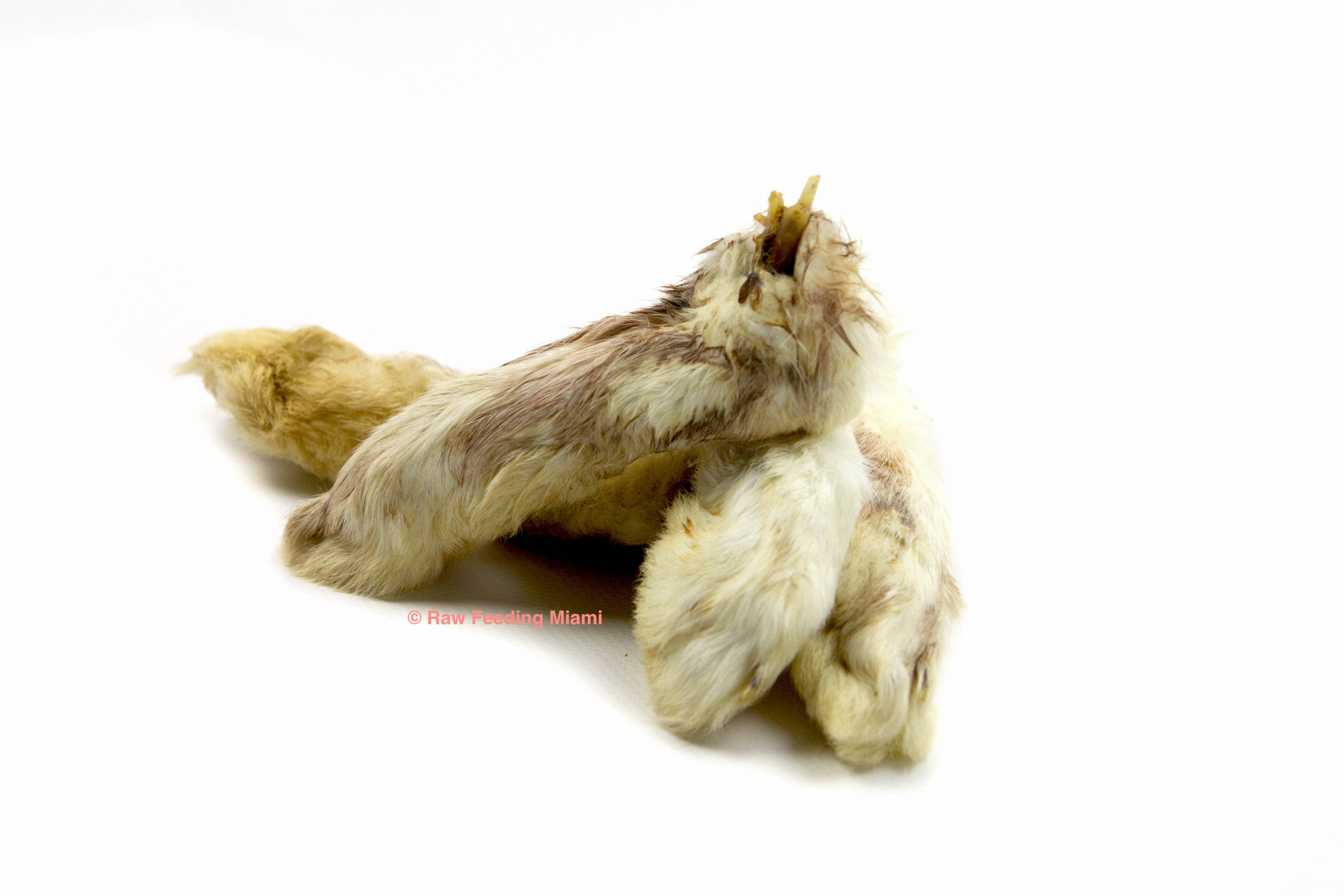 Dehydrated Rabbit Feet & Ears – Raw Feeding Miami