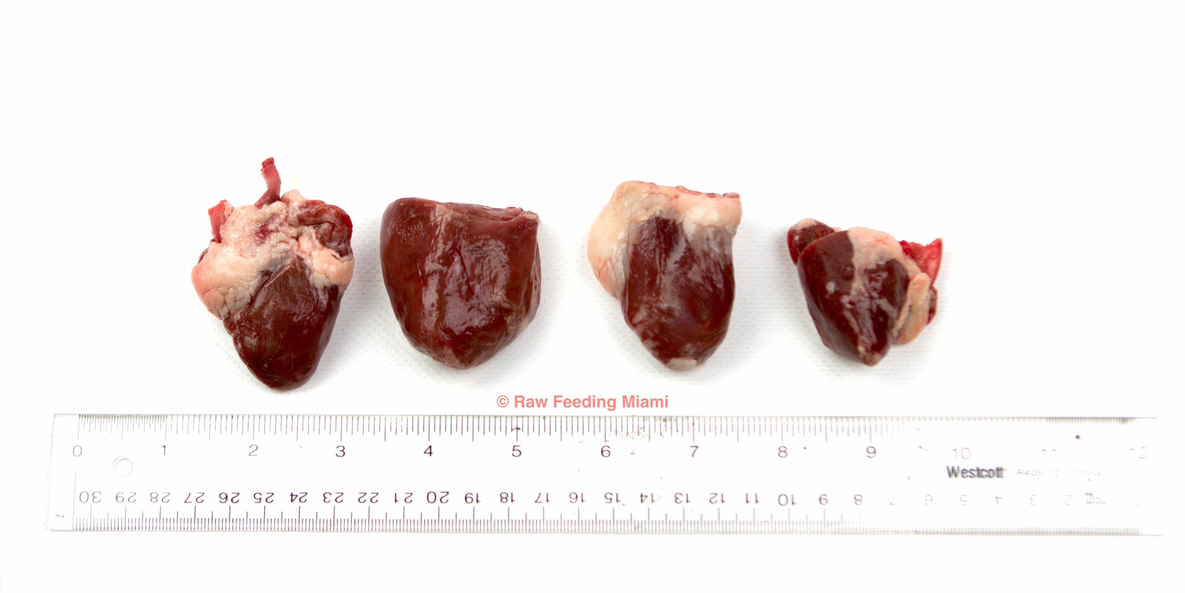 Turkey Hearts – Raw Feeding Miami